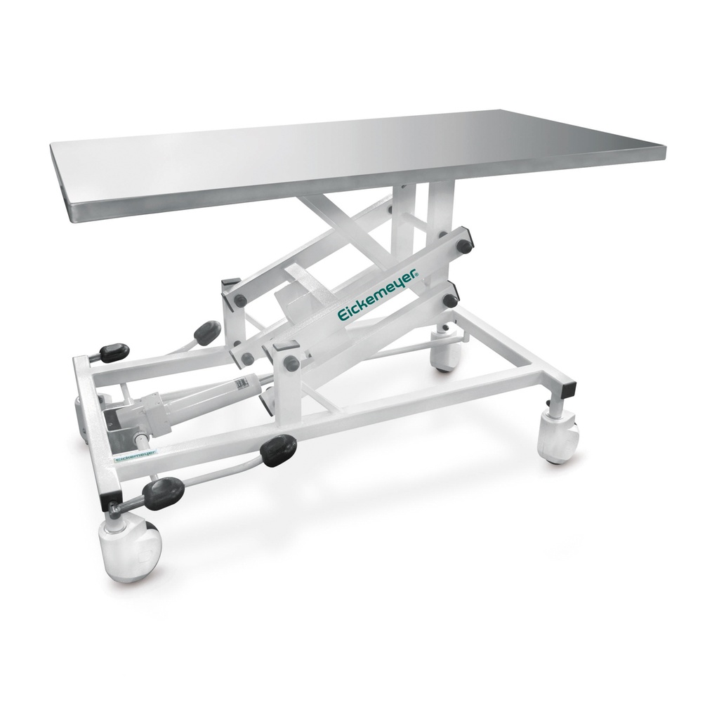 Clearance: Set: Exam / Prep Table, Mobile, Hydraulic, 122 x 60 + Mat ...