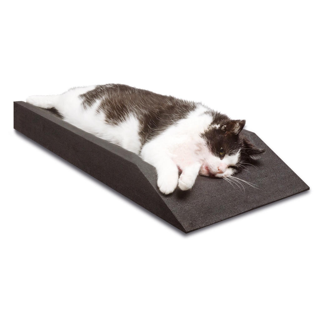 DENTO-DORM® Mattress and Poisitioning Wedges | Eickemeyer Veterinary ...